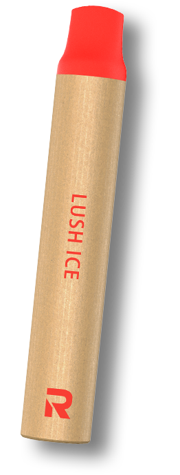 Eco-Friendly Disposable Vape Pen | Sustainable Vapes Pod Kits